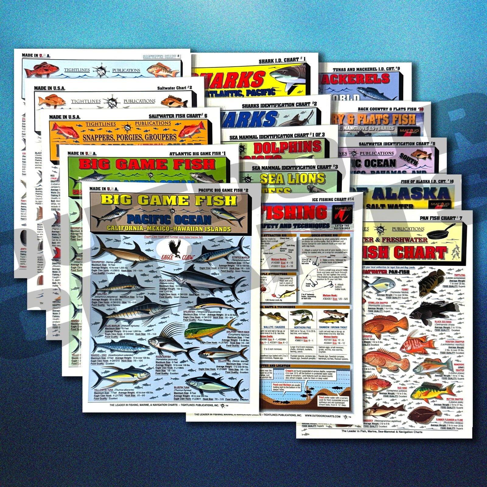 Fishermen's Saltwater Fish Identification Set - Waterproof Quick ...