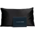 Fishers Finery 25mm 100% Pure Mulberry Silk Pillowcase, Good ...