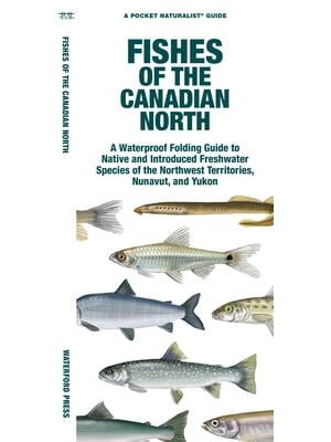 Fishes of the Canadian North: A Waterproof Folding Guide to Native and ...