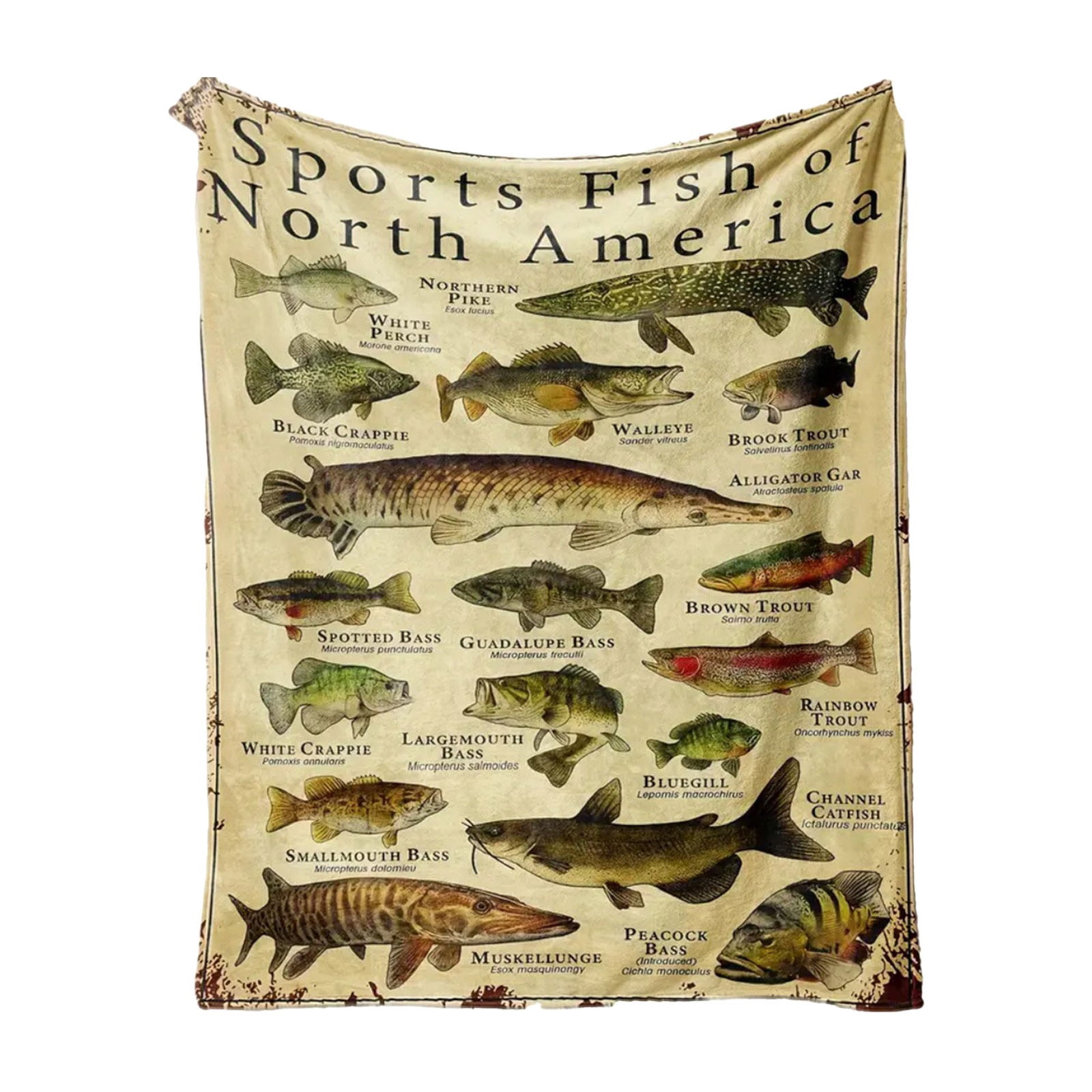Fishing Blanket Clearance, Fishing Enthusiast Blanket, Sports Fish of ...