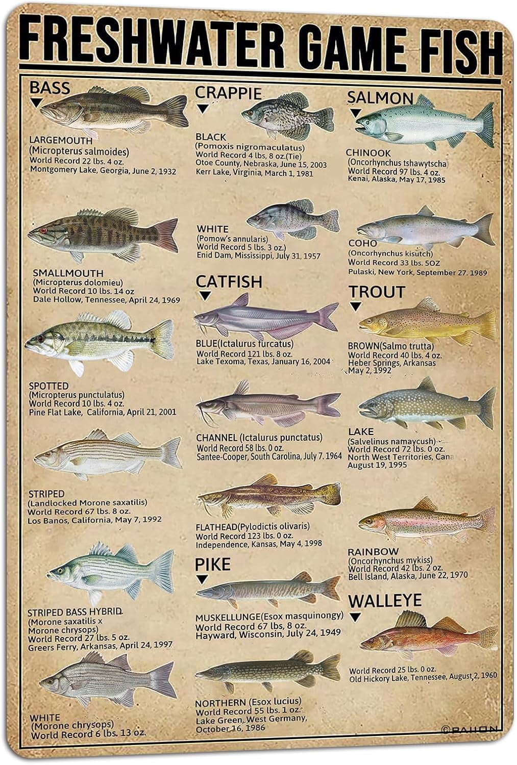 Fishing Decor Country Room Decor Mens Room Wall Decor Freshwater Game ...