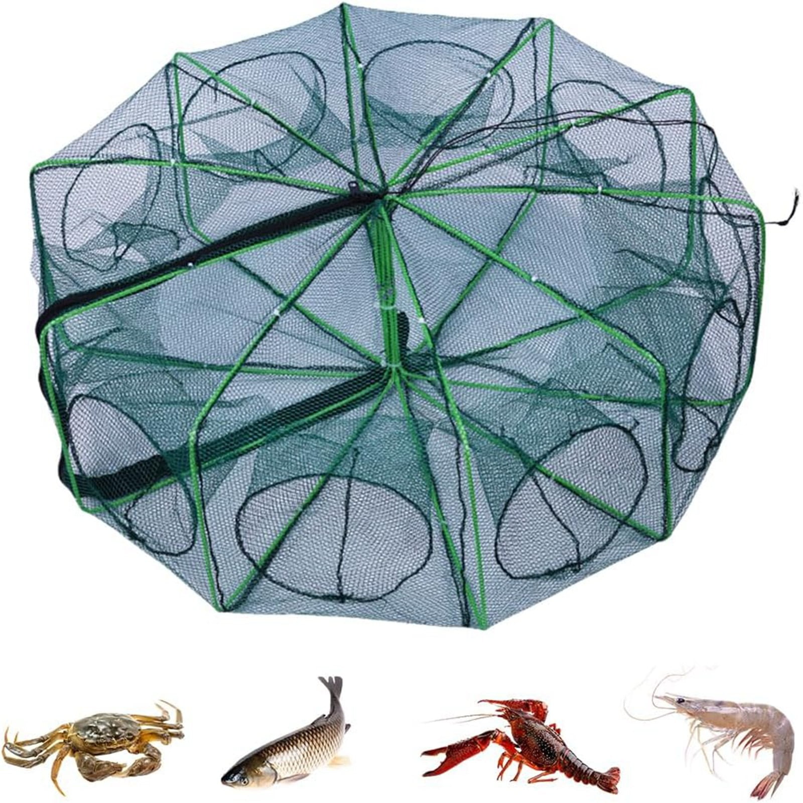 Fishing Gear The Foldable Fishing Trap 2024 Fishing Kit for Improved ...