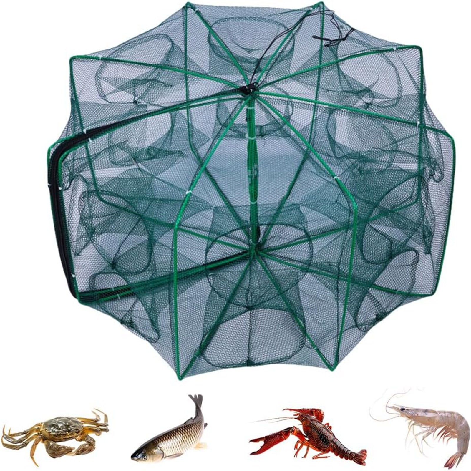 Fishing Gear The Foldable Fishing Trap 2024 Fishing Kit for Improved ...