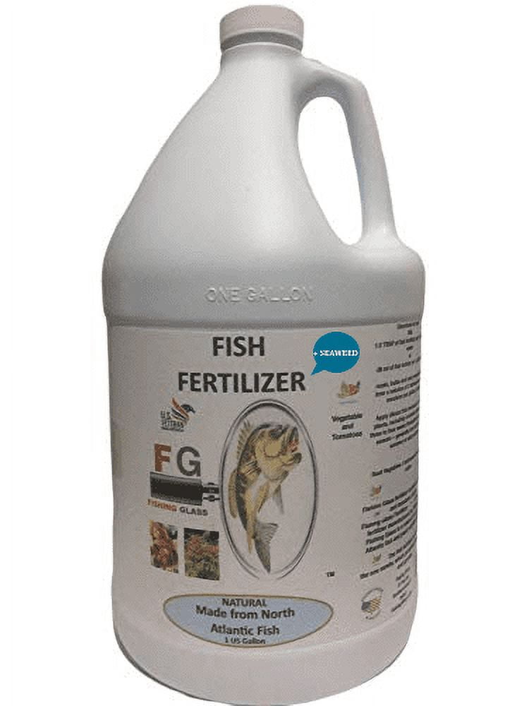 Fishing Glass Liquid (Fish Fertilizer) and Plus Seaweed, Organic ...