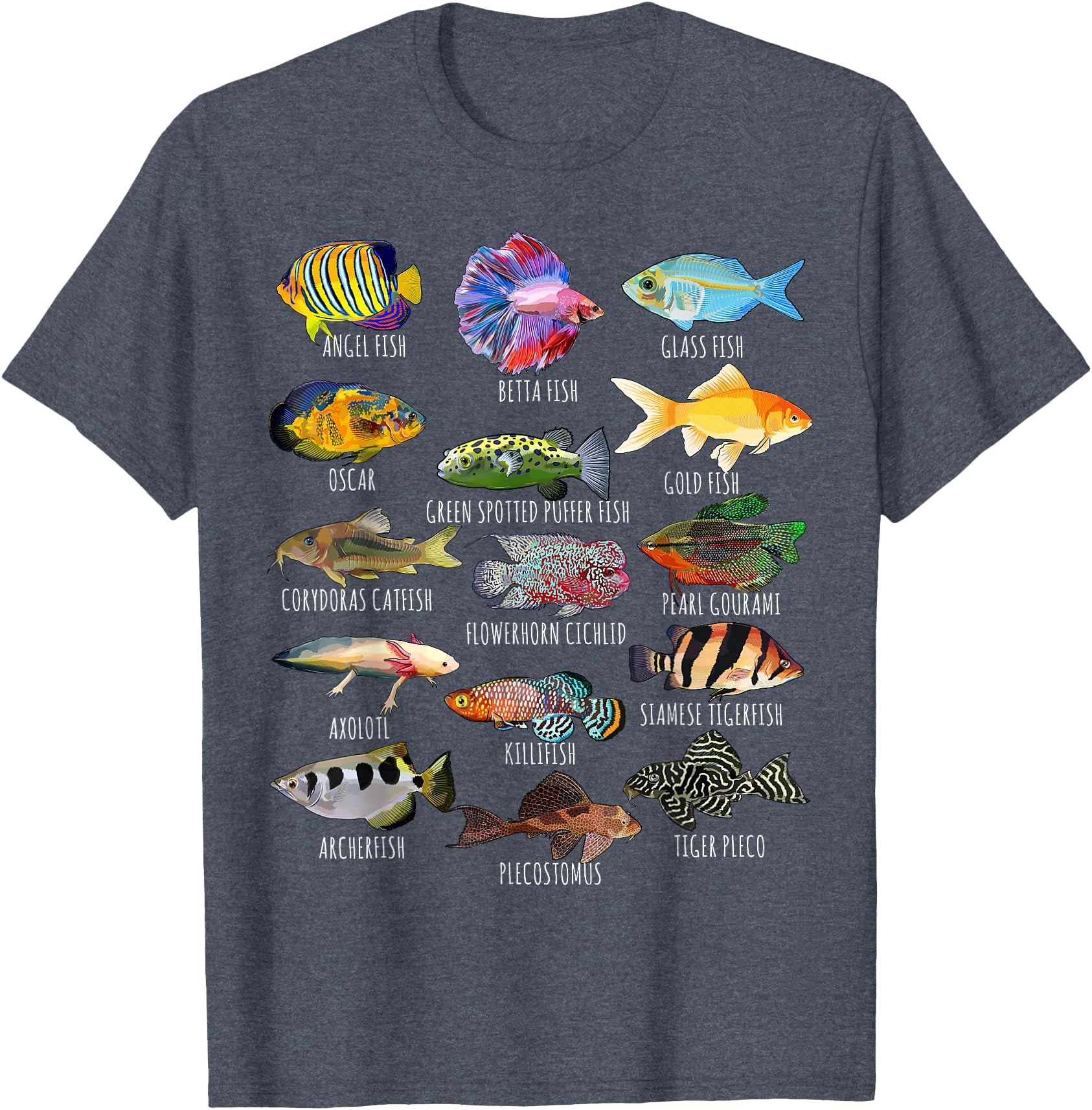 Fishkeeping Fish Species Biology Types Of Aquarium Fish Softstyle ...