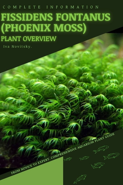 Fissidens fontanus (Phoenix Moss): From Novice to Expert. Comprehensive ...
