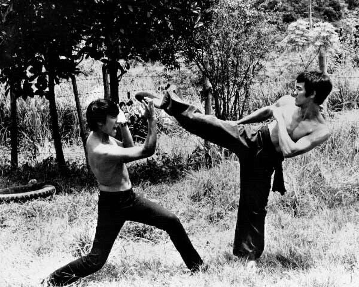 Fists of Fury 1972 James Tien fights Bruce Lee outdoors 24x36 inch ...
