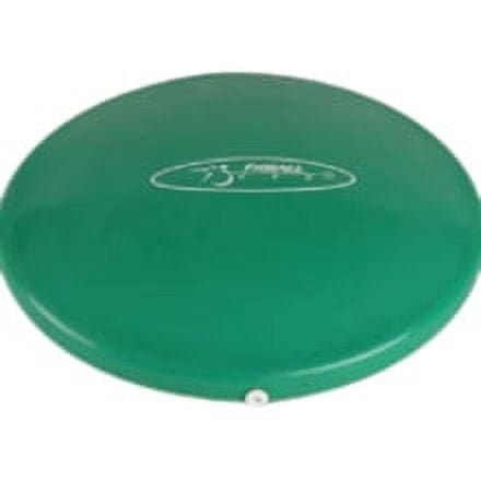 FitBALL Balance Disc - Walmart.com