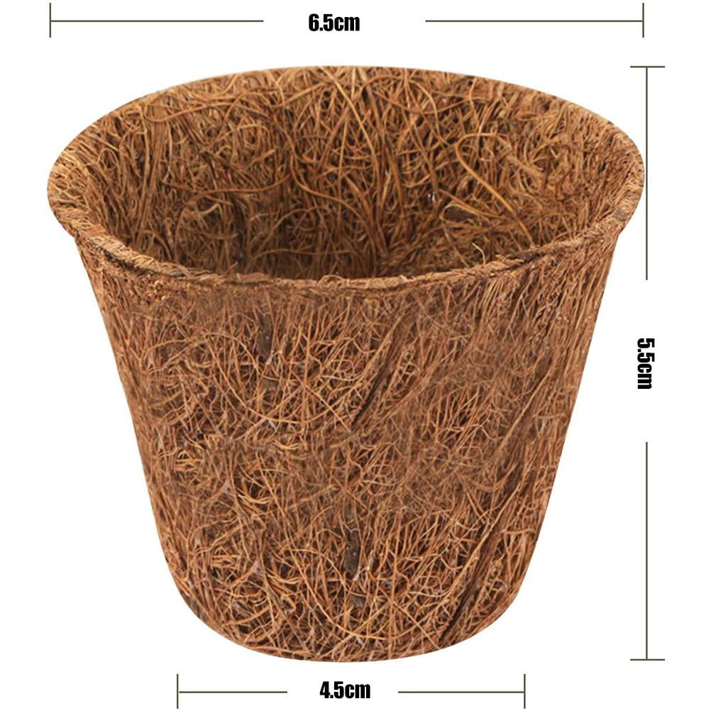 FitBest 30pcs Coconut Seedling Basin Seedling Bowl Natural Coconut ...