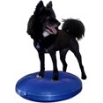 FitPAWS® Dog Balance Disc – 22”, Blue | Dog Exercise Equipment ...