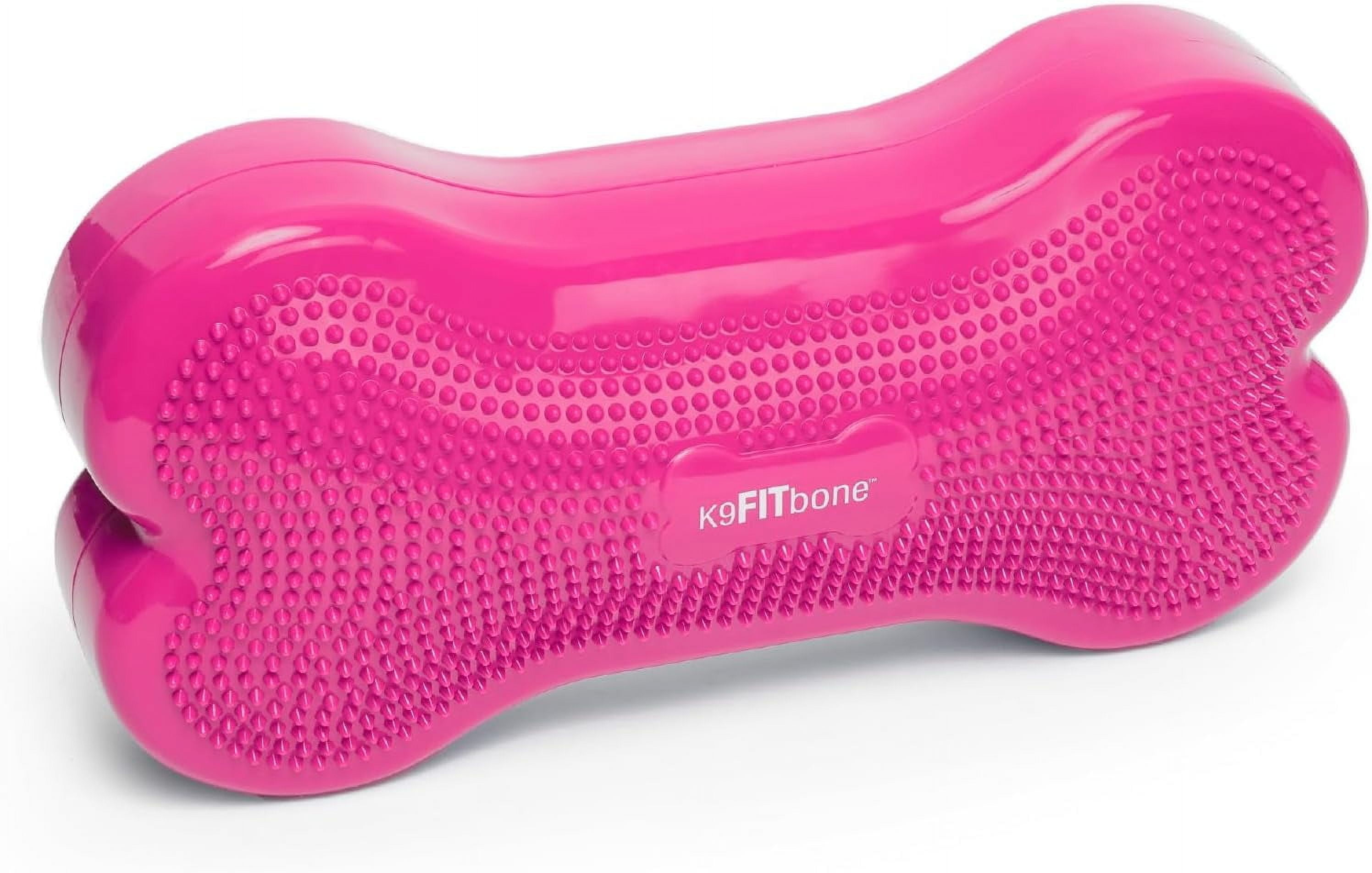 FitPAWS® K9FITbone® - Regular, Razzleberry | Dog Balance Training ...