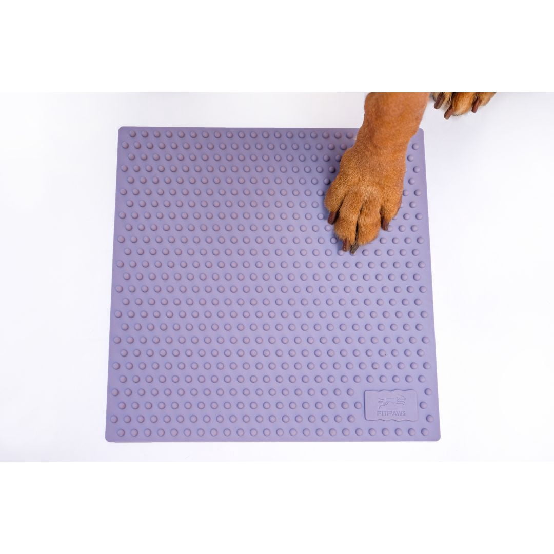 FitPAWS® Trax Dog Training Targets 10", Set of 2 | Dog Exercise ...