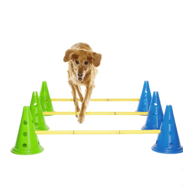 FitPaws CanineGym Dog Agility Kit Bundle, Cavaletti 6-count - Walmart.com