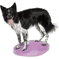 FitPAWS® Wobble Board - Dog Balance Training Equipment for Core ...