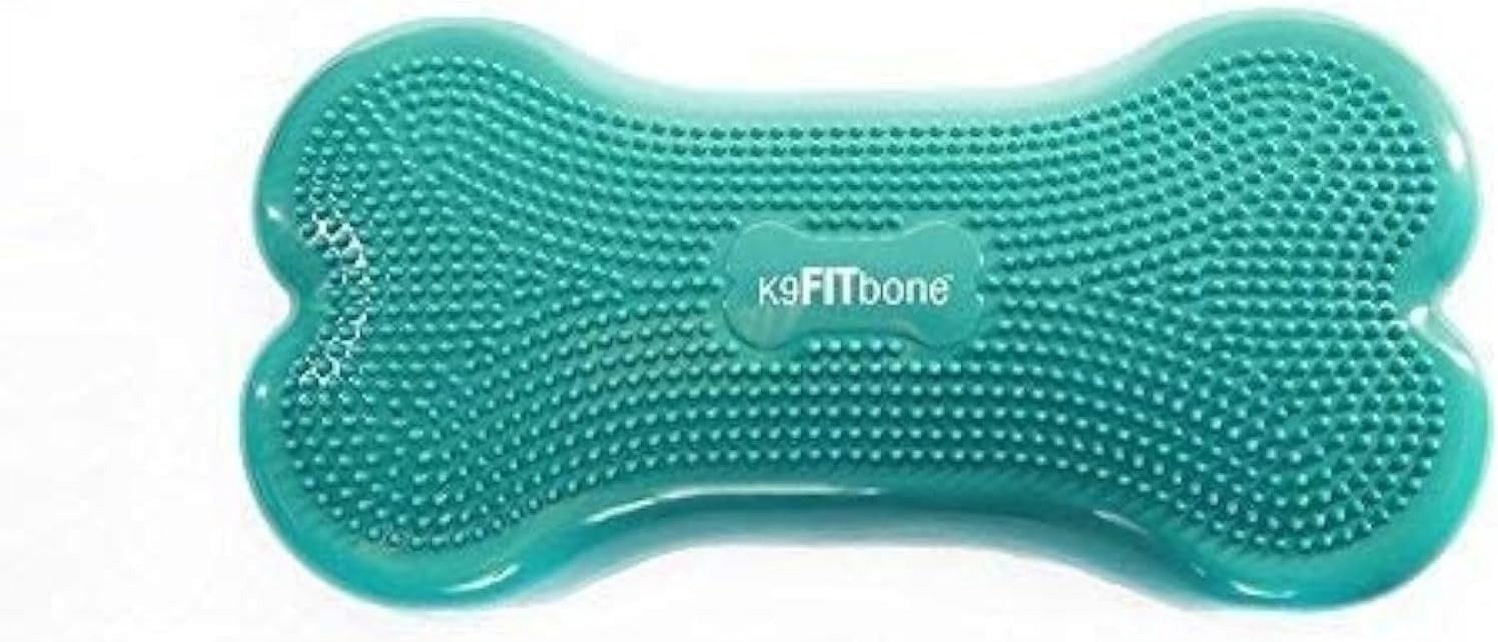 FitPaws® K9FITbone® - Regular, Aqua | Dog Balance Training Platform ...