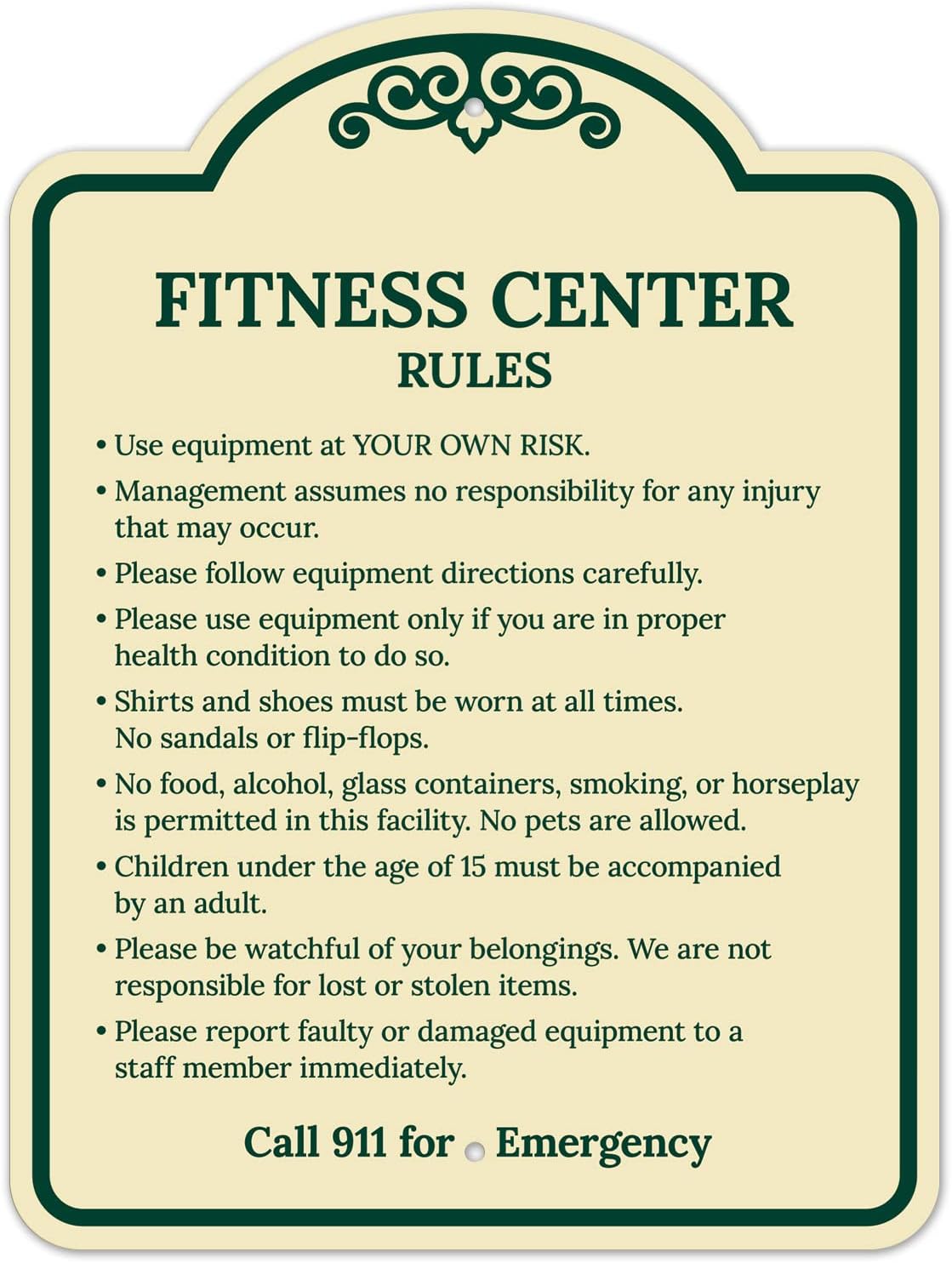 Fitness Center Rules Use Equipment at Your Own Risk Décor Sign, Green ...