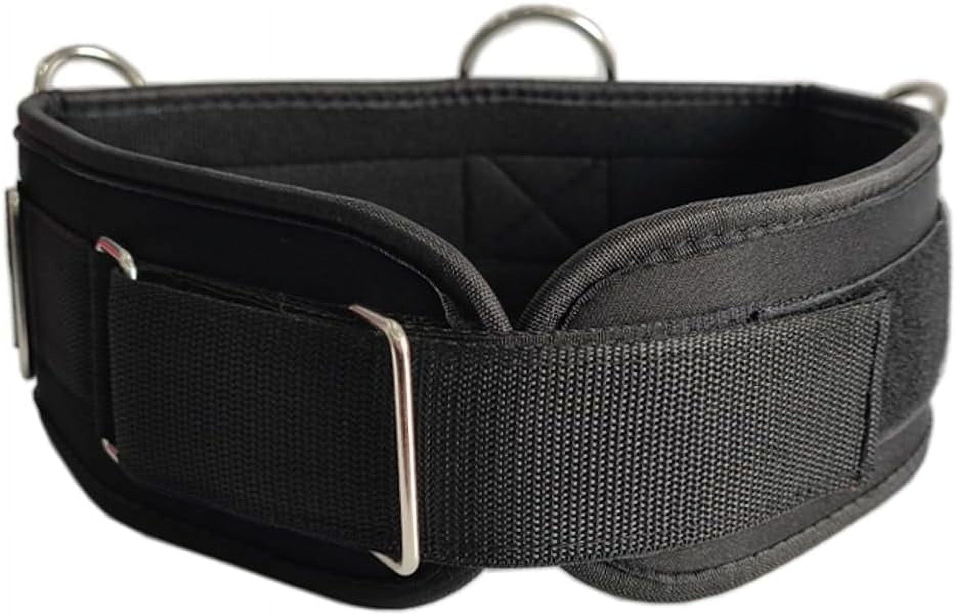 Fitness Resistance Belt – Multi-Functional Belt with 5 Rings for Weight ...