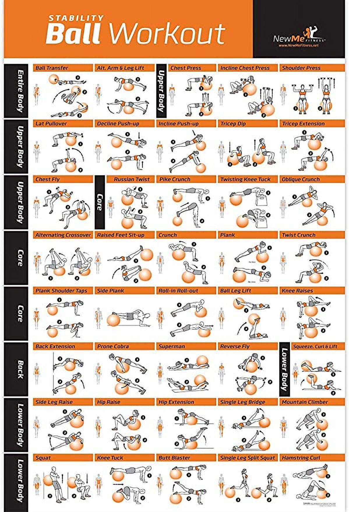 Fitness Workout Posters for Home Gym - Exercise Posters for Full Body ...