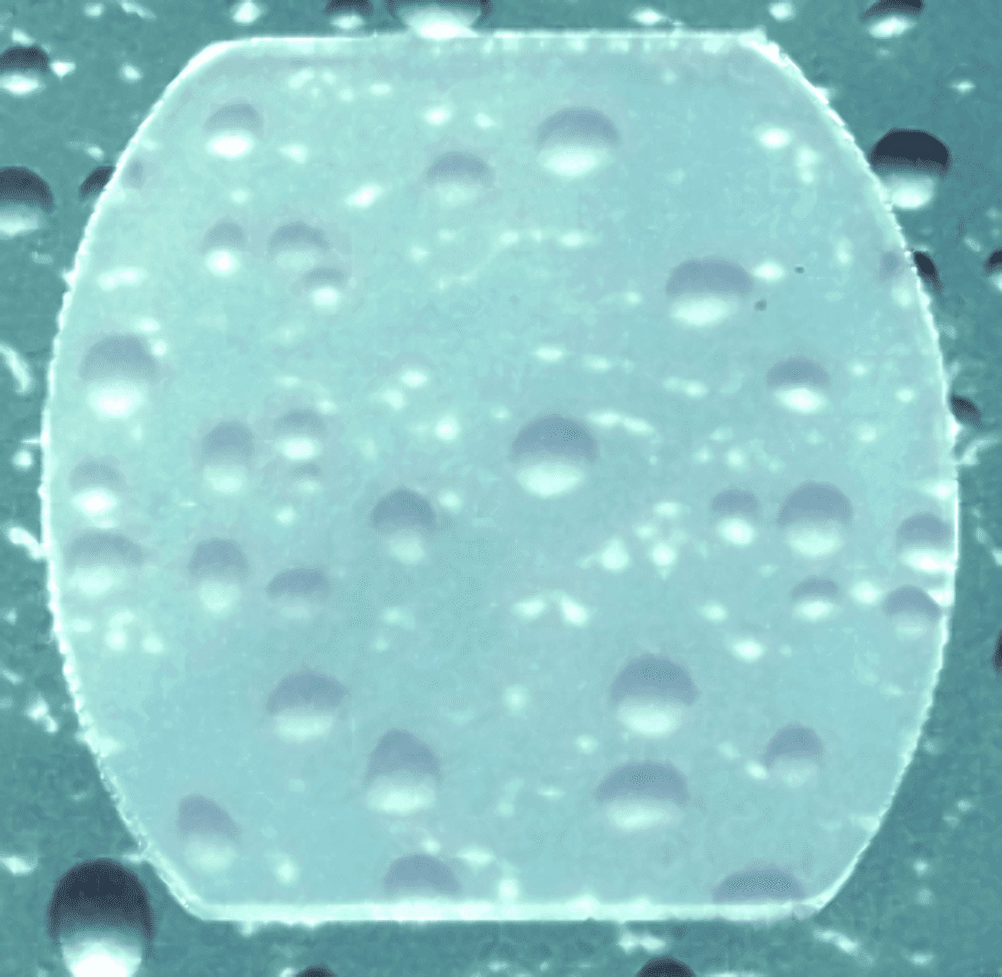 Fits 03-16 Lex ES300 04-16 ES330 Rain Sensor PadFits between Sensor ...