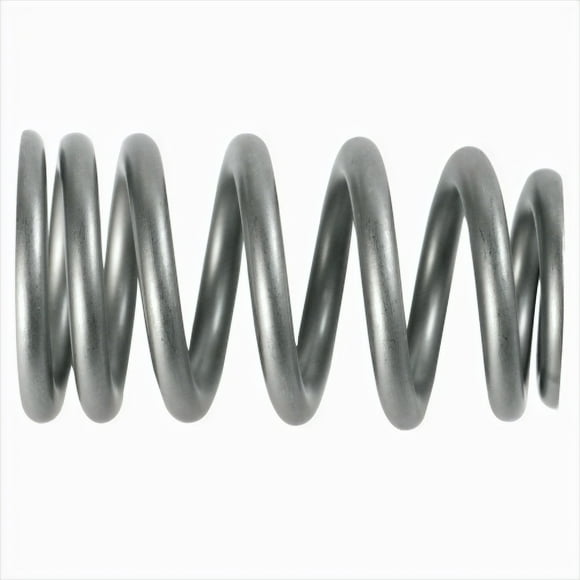 Ford Explorer Engine Valve Spring