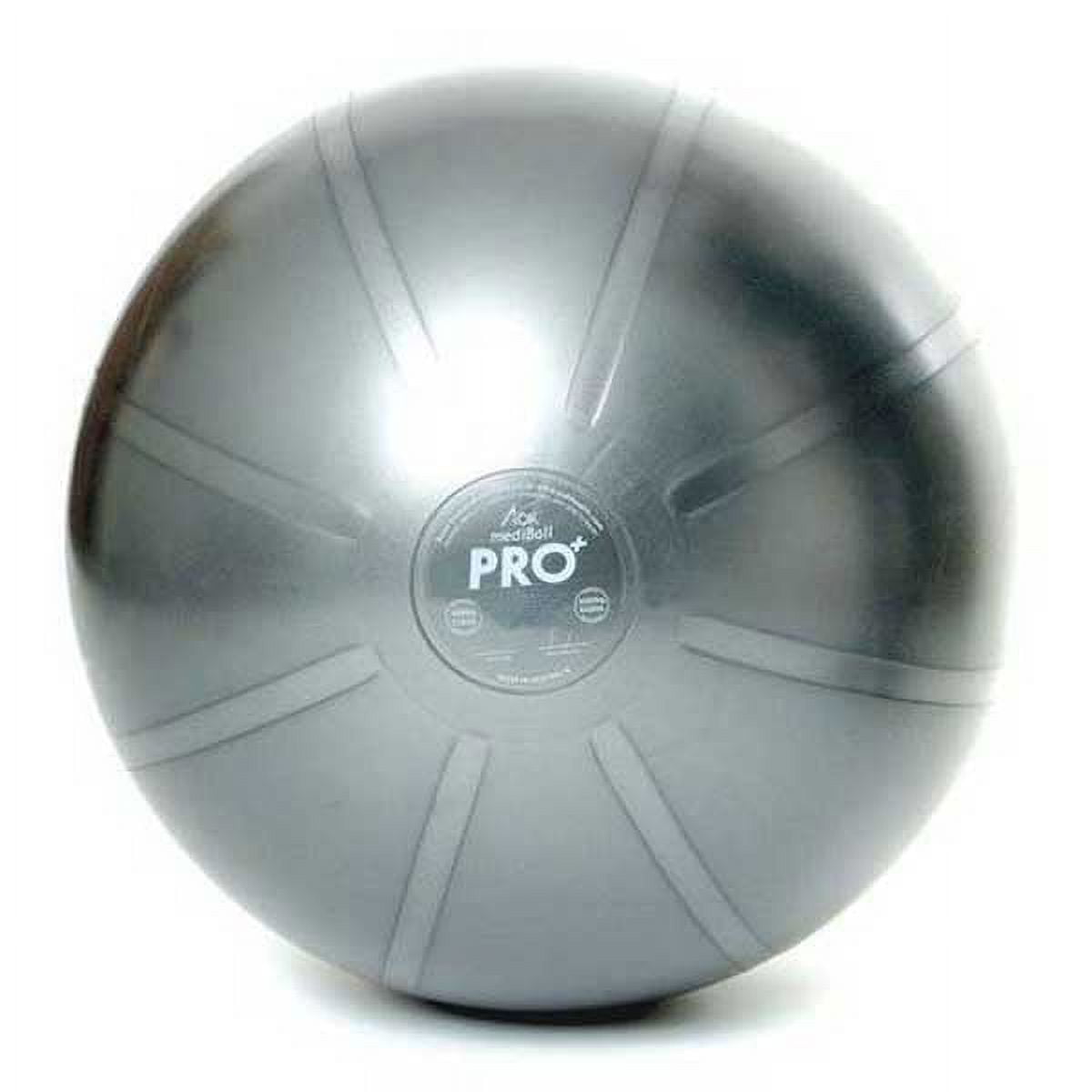 Fitter First Duraball PRO Exercise Ball-65cm-Silver - Walmart.com