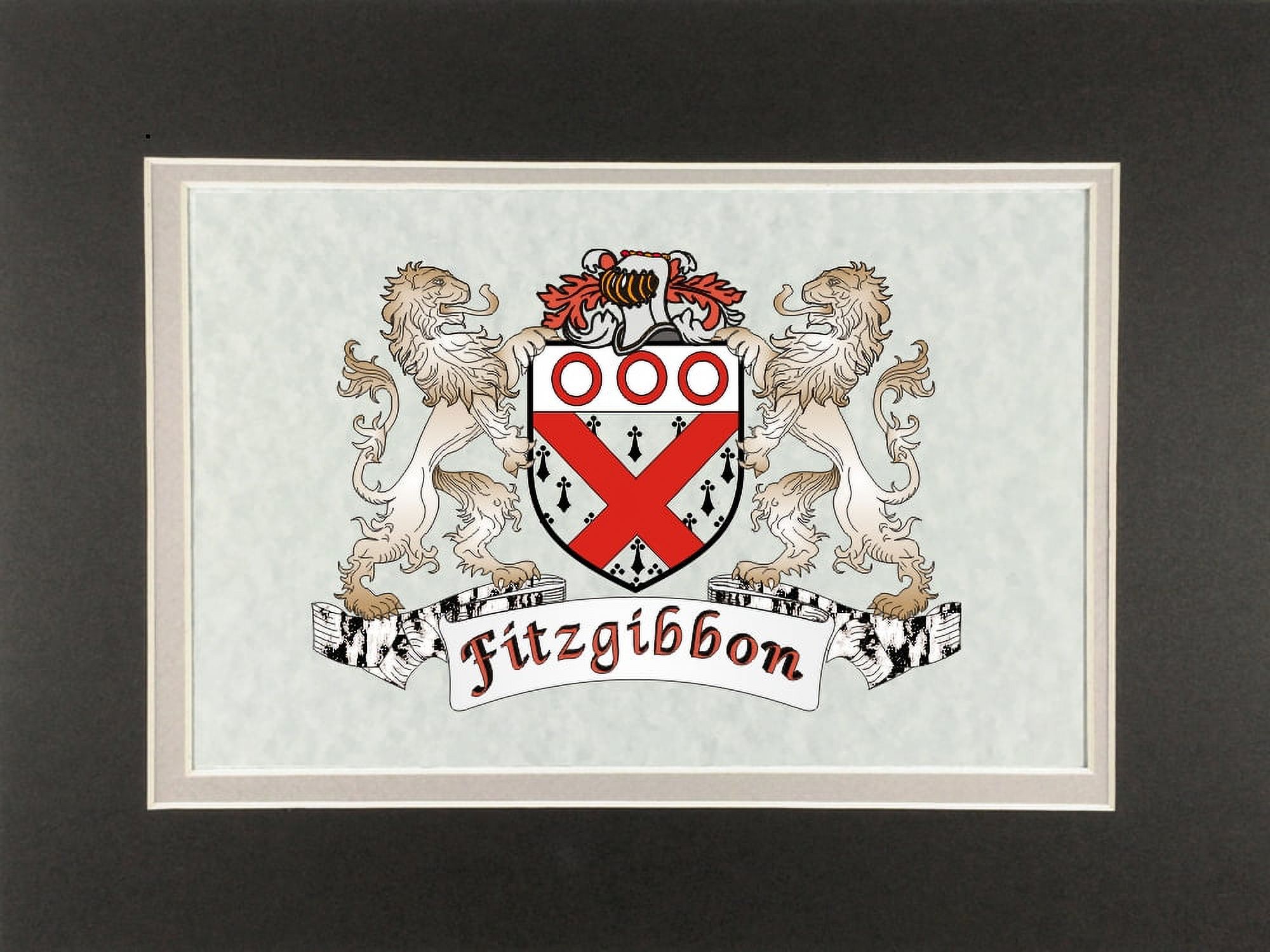 Fitzgibbon Irish Coat of Arms Print - Frameable 9" x 12" - Walmart.com
