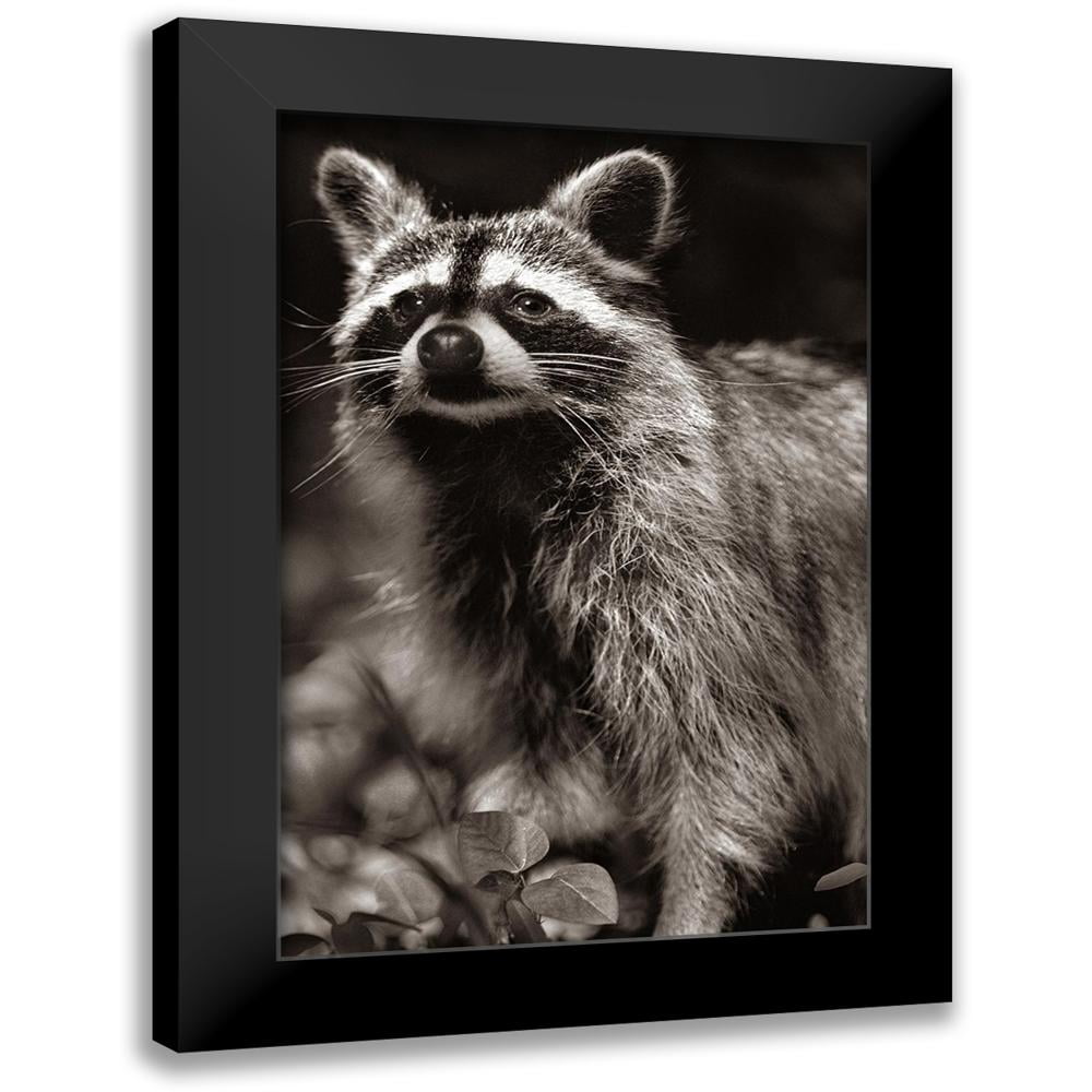Fitzharris, Tim 11x14 Black Modern Framed Museum Art Print Titled ...