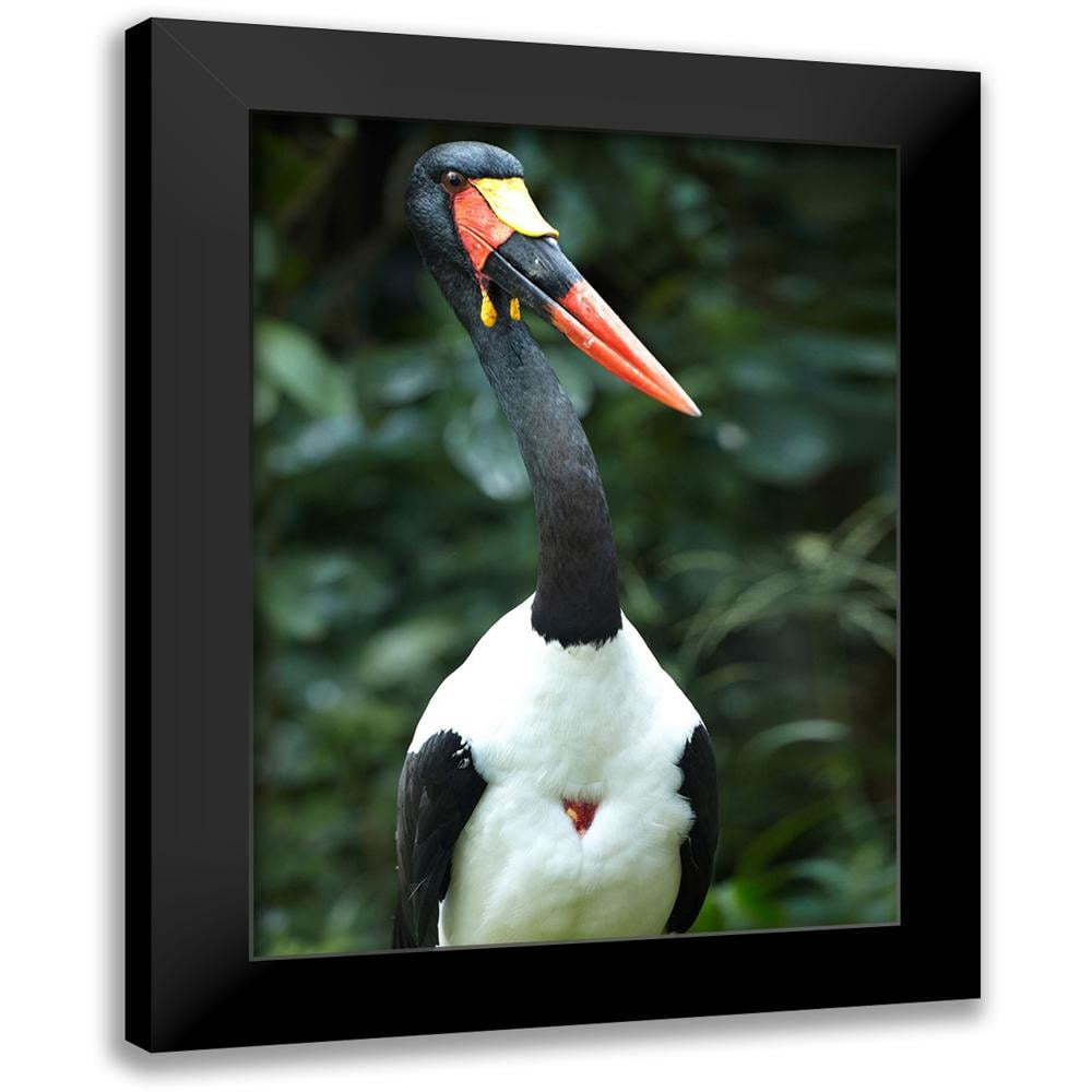 Fitzharris, Tim 11x14 Black Modern Framed Museum Art Print Titled ...