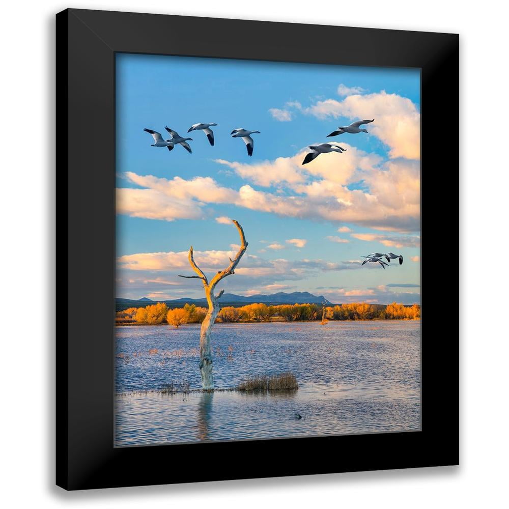 Fitzharris, Tim 11x14 Black Modern Framed Museum Art Print Titled ...