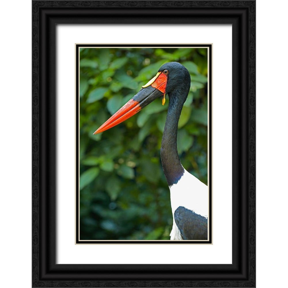 Fitzharris, Tim 11x14 Black Ornate Wood Framed with Double Matting ...