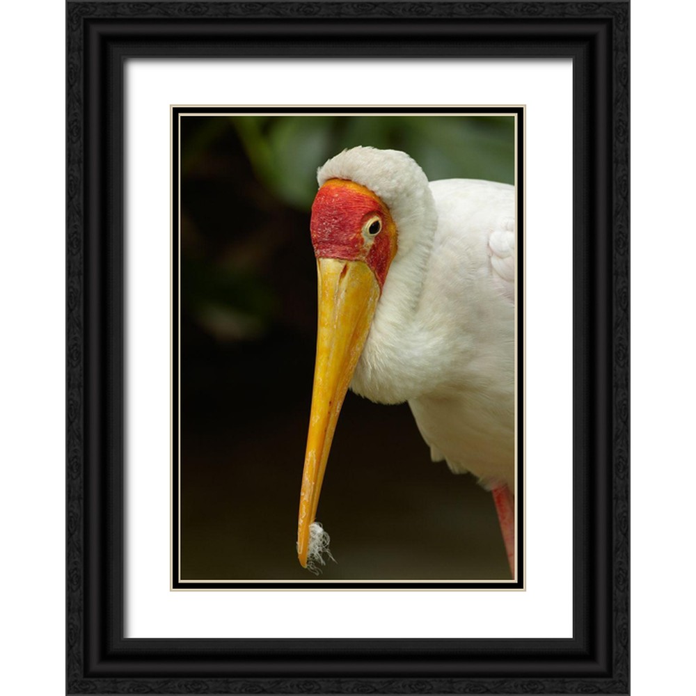 Fitzharris, Tim 11x14 Black Ornate Wood Framed with Double Matting ...