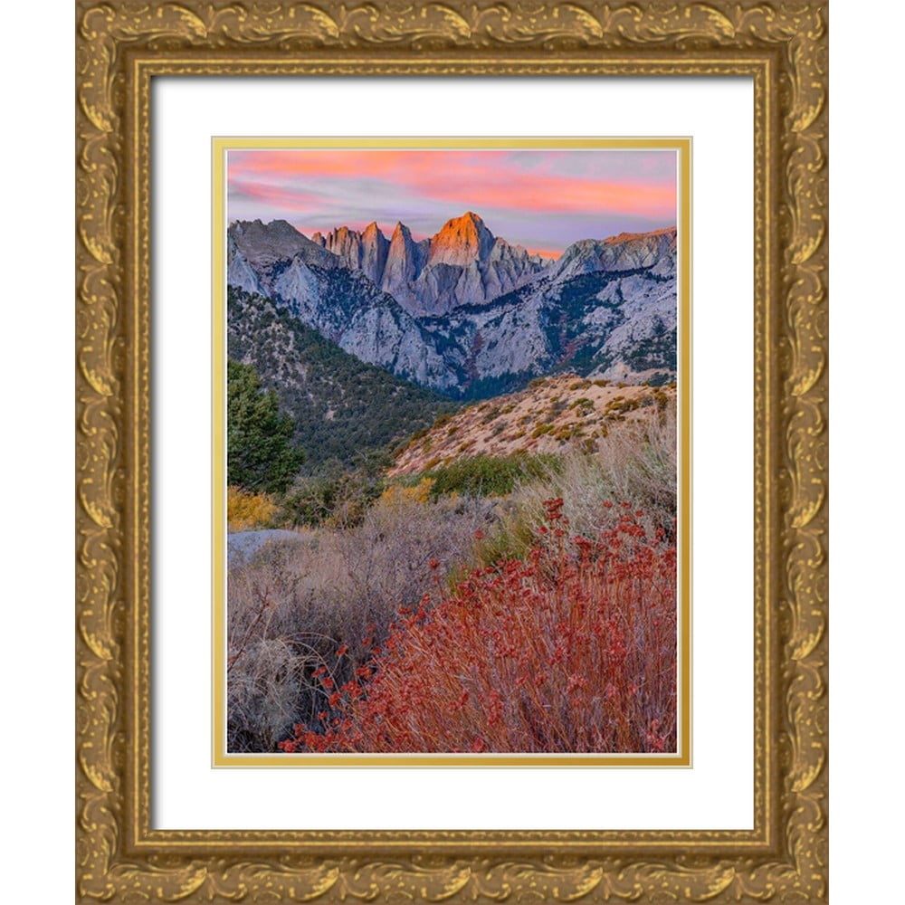 Fitzharris, Tim 11x14 Gold Ornate Wood Framed with Double Matting ...
