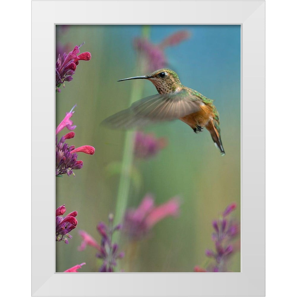 Fitzharris, Tim 11x14 White Modern Wood Framed Museum Art Print Titled ...
