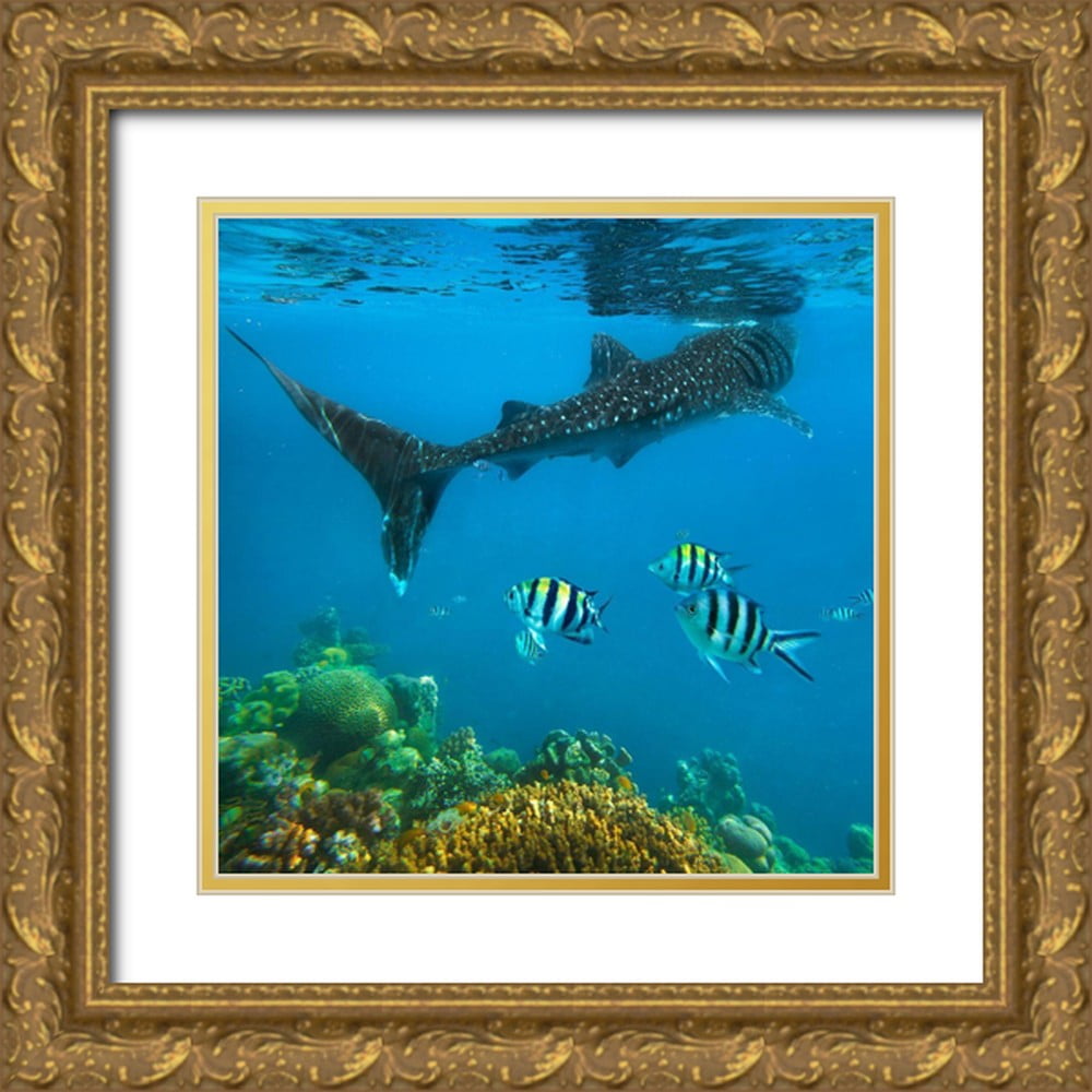 Fitzharris, Tim 12x12 Gold Ornate Wood Framed with Double Matting ...