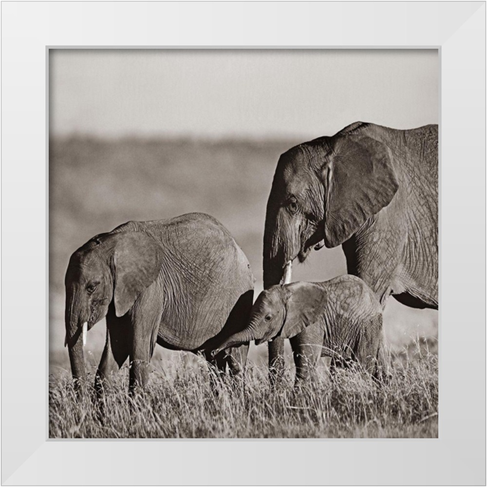 Fitzharris, Tim 12x12 White Modern Wood Framed Museum Art Print Titled ...