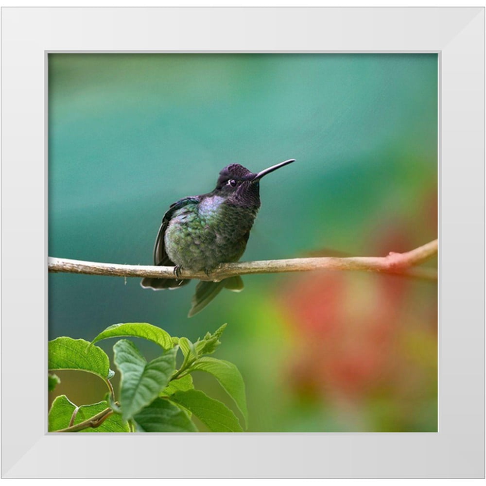 Fitzharris, Tim 12x12 White Modern Wood Framed Museum Art Print Titled ...