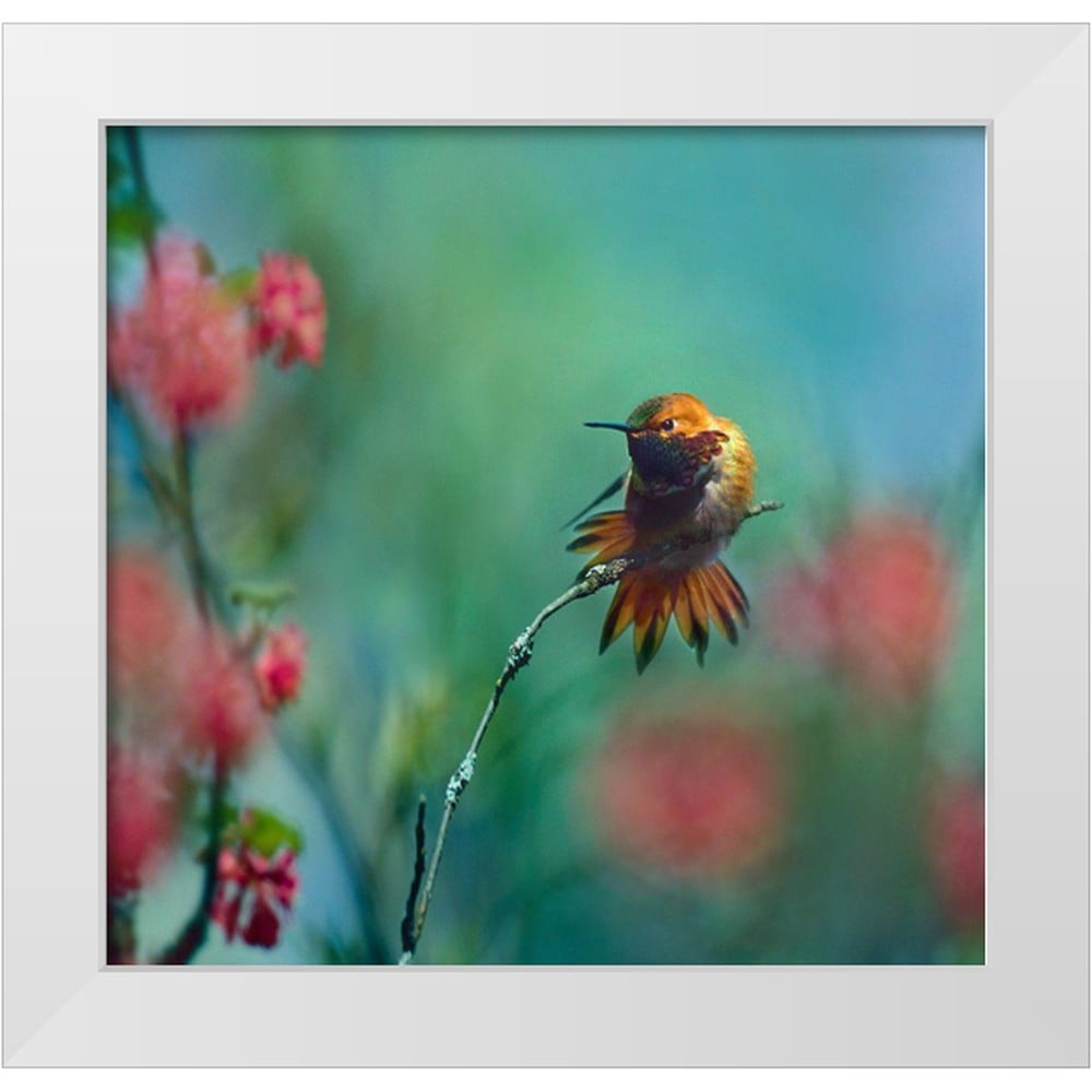 Fitzharris, Tim 12x12 White Modern Wood Framed Museum Art Print Titled ...