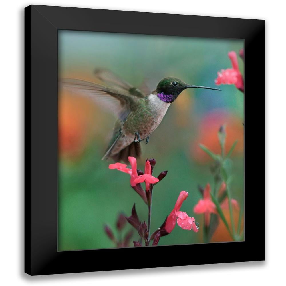 Fitzharris, Tim 12x14 Black Modern Framed Museum Art Print Titled ...