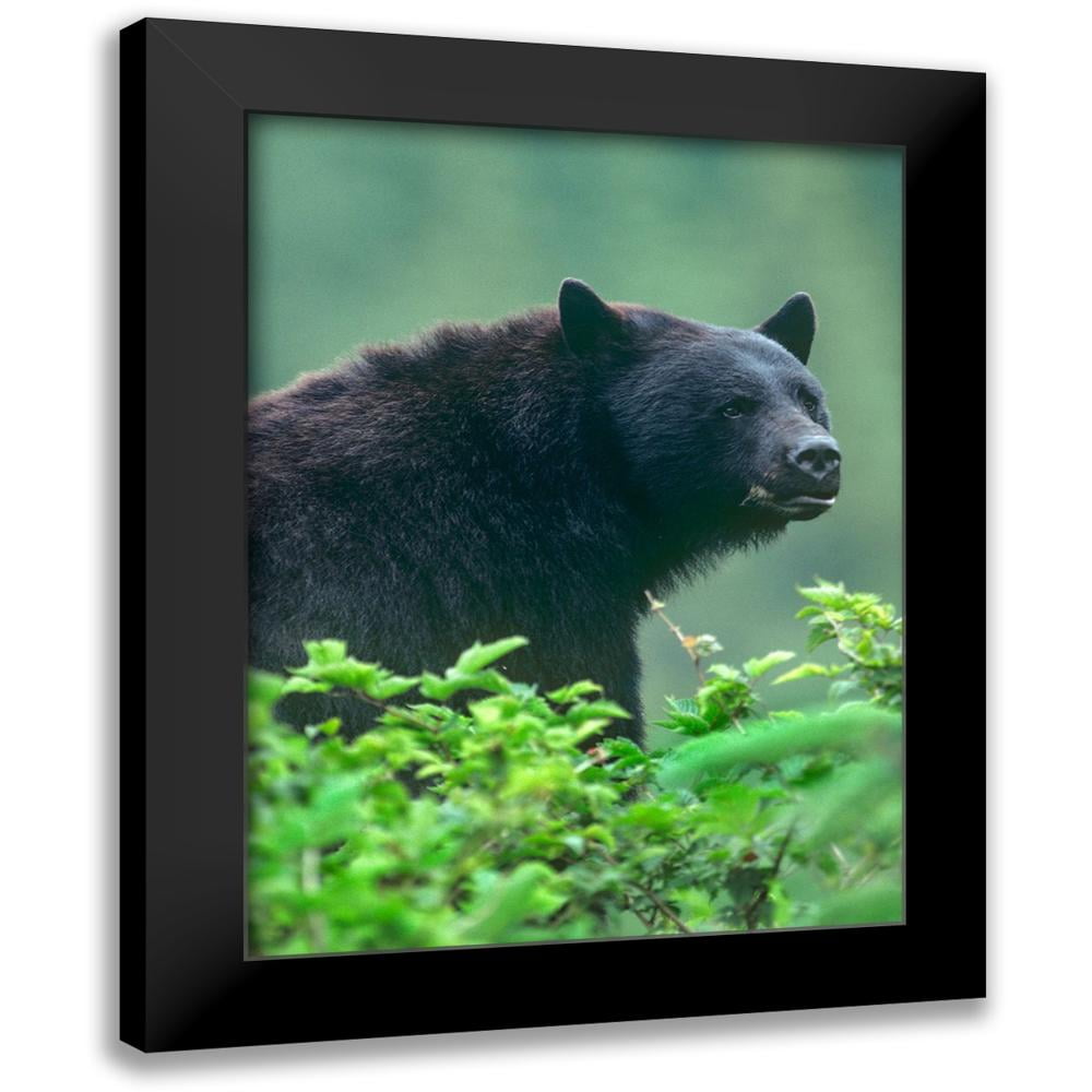 Fitzharris, Tim 12x14 Black Modern Framed Museum Art Print Titled ...