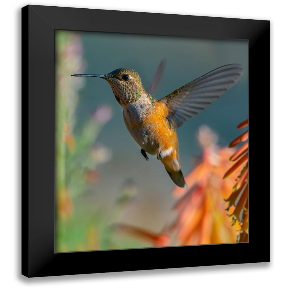 Fitzharris, Tim 12x14 Black Modern Framed Museum Art Print Titled ...