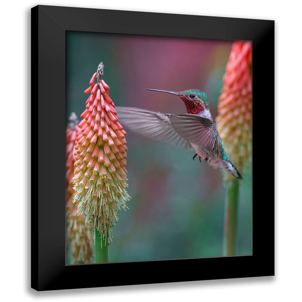 Fitzharris, Tim 12x14 Black Modern Framed Museum Art Print Titled ...