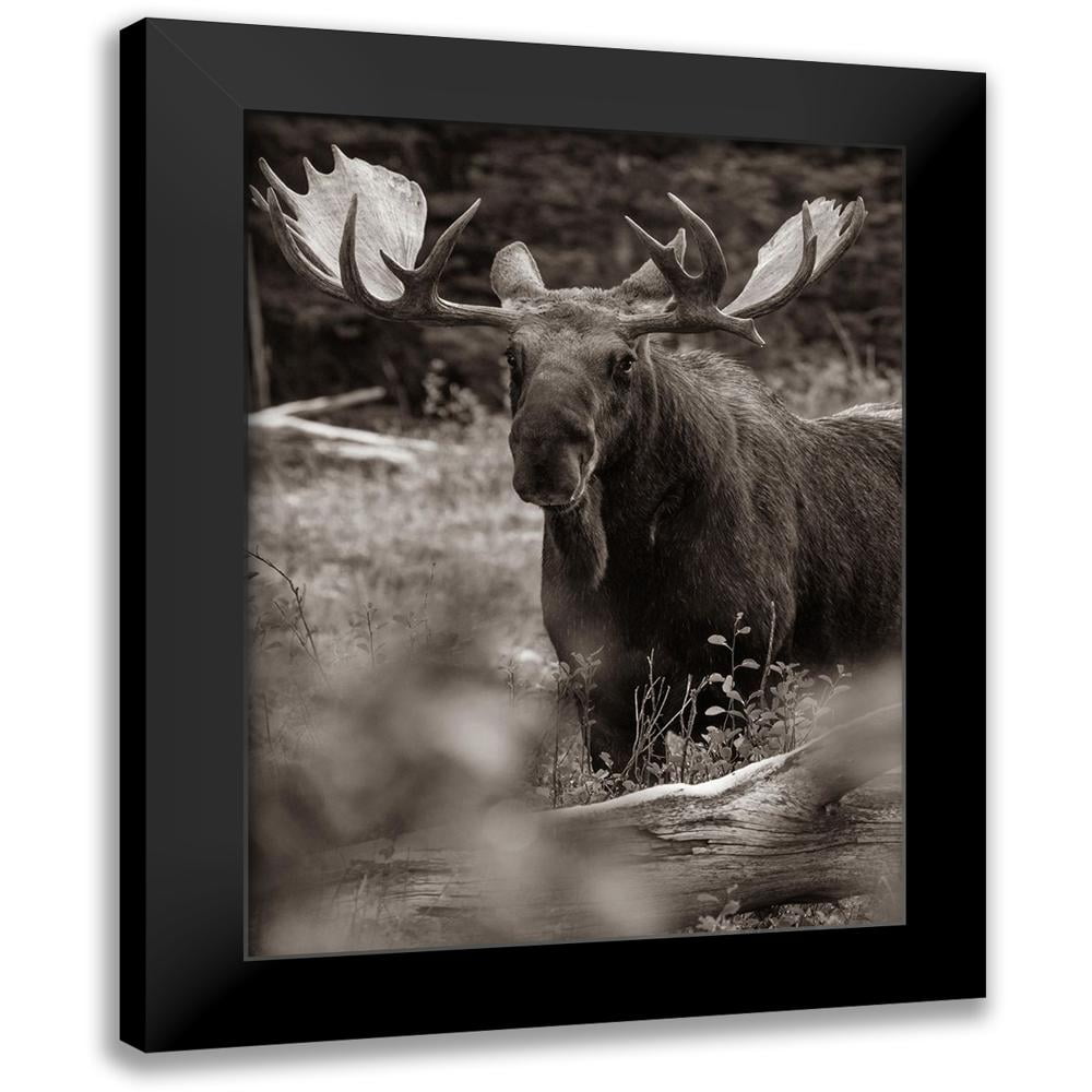 Fitzharris, Tim 12x14 Black Modern Framed Museum Art Print Titled ...