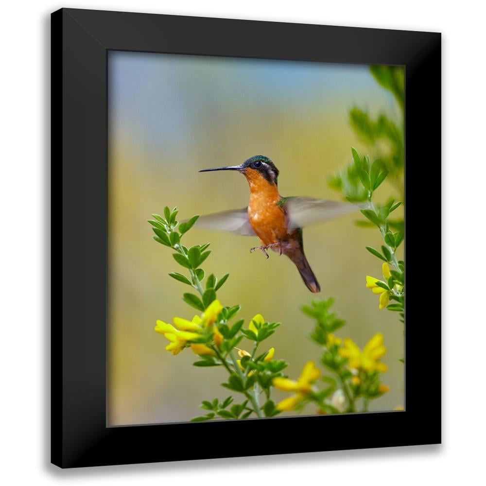 Fitzharris, Tim 12x14 Black Modern Framed Museum Art Print Titled ...