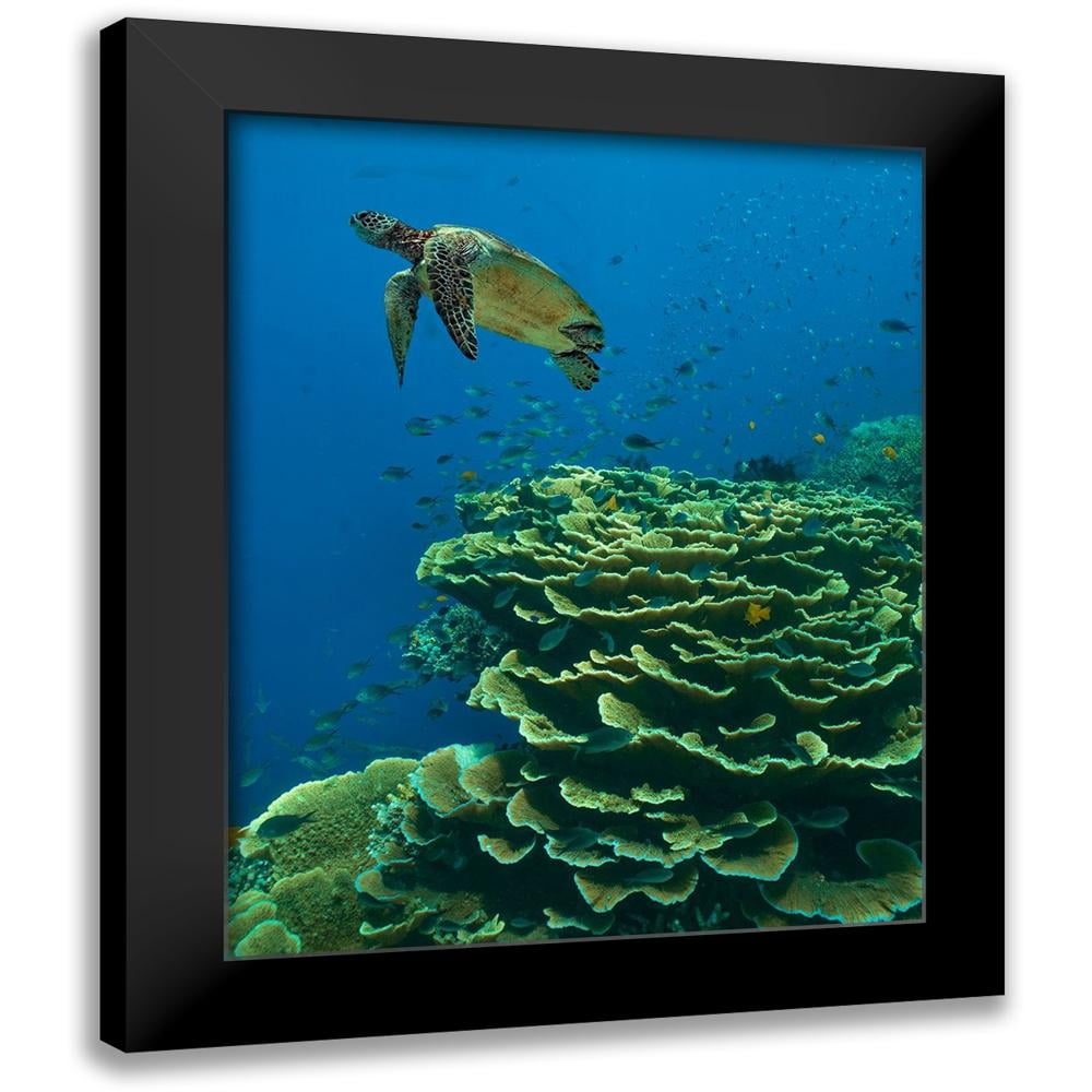 Fitzharris, Tim 12x14 Black Modern Framed Museum Art Print Titled ...