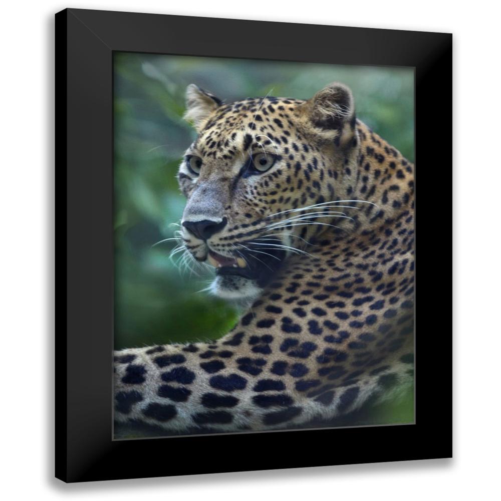 Fitzharris, Tim 12x14 Black Modern Framed Museum Art Print Titled ...