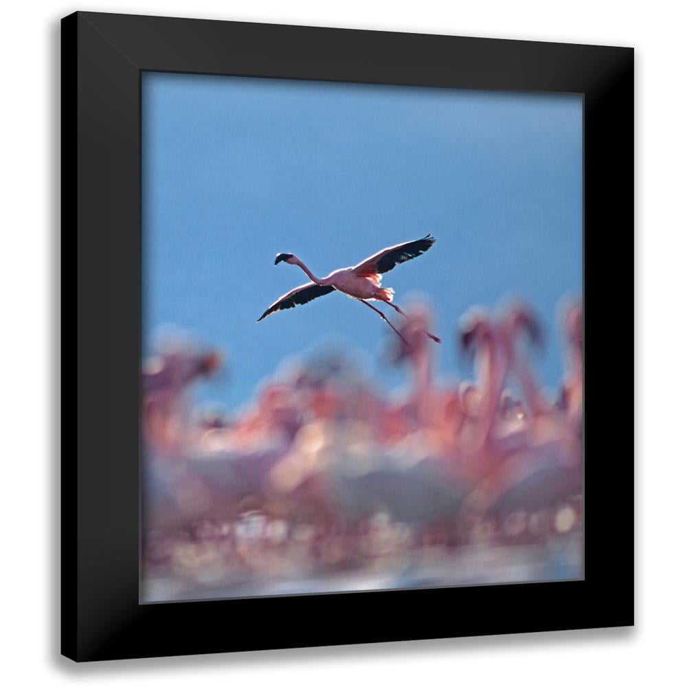 Fitzharris, Tim 12x14 Black Modern Framed Museum Art Print Titled ...