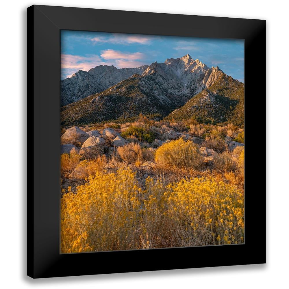 Fitzharris, Tim 12x14 Black Modern Framed Museum Art Print Titled ...