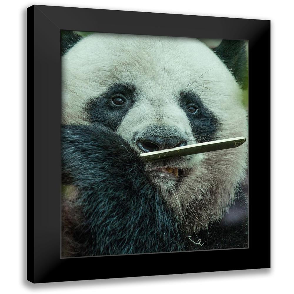 Fitzharris, Tim 12x14 Black Modern Framed Museum Art Print Titled ...