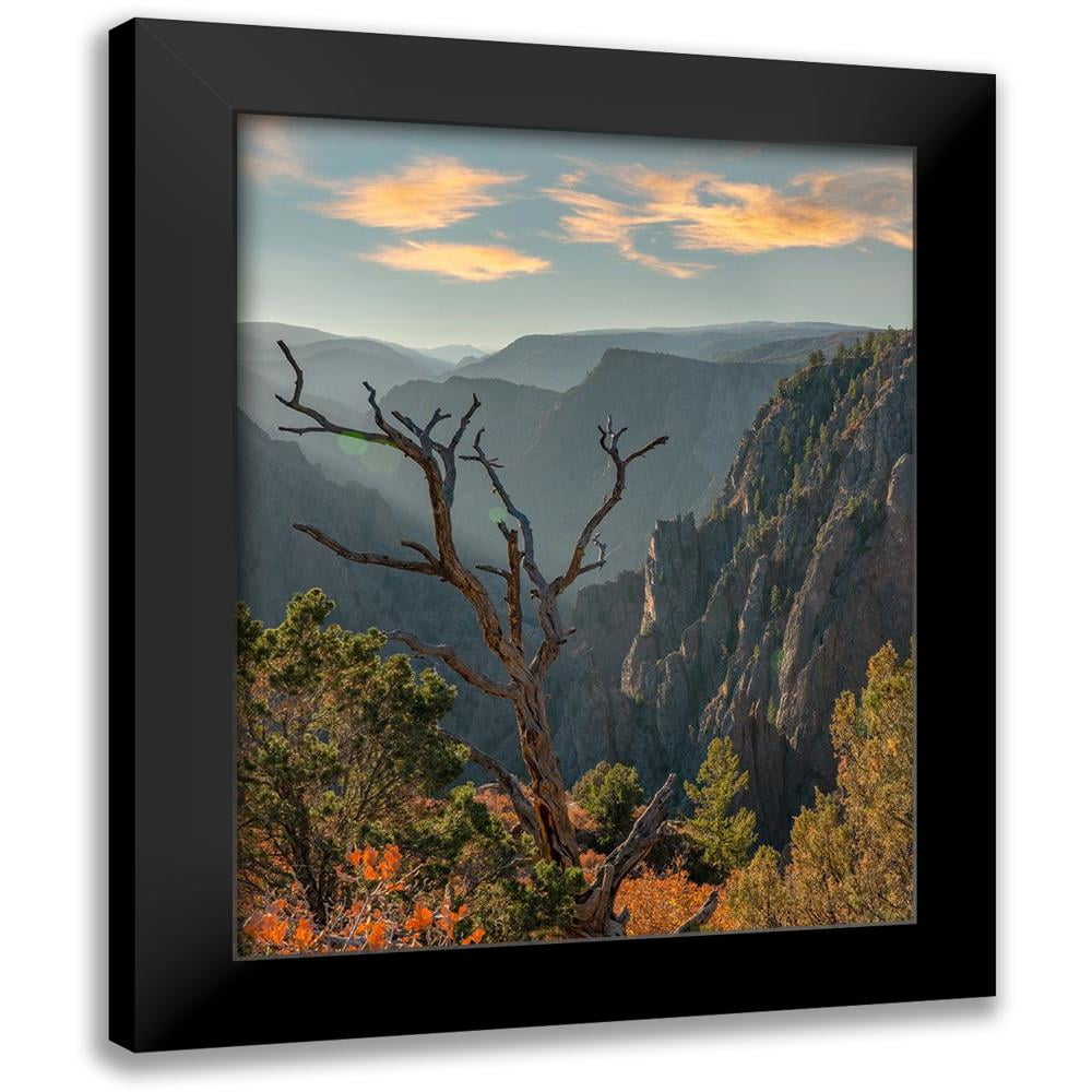 Fitzharris, Tim 12x14 Black Modern Framed Museum Art Print Titled ...