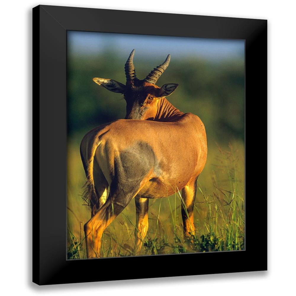 Fitzharris, Tim 12x14 Black Modern Framed Museum Art Print Titled ...